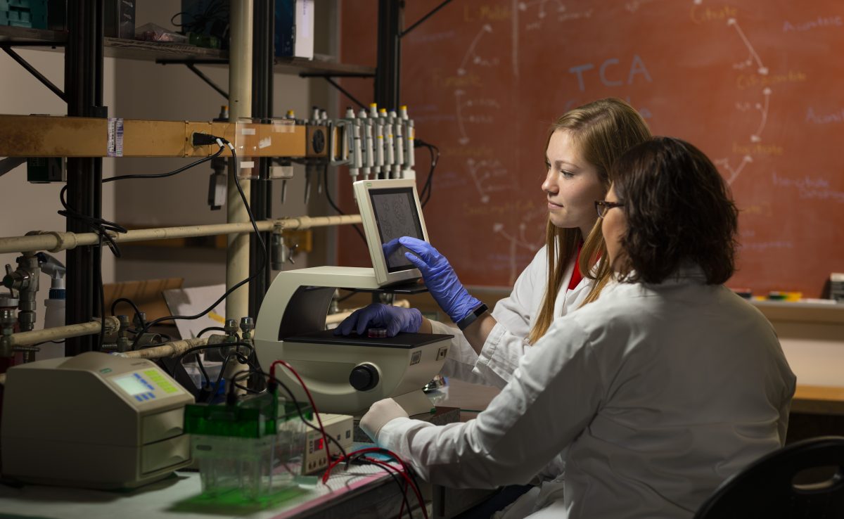 Post Baccalaureate Research Program PREP UW Madison