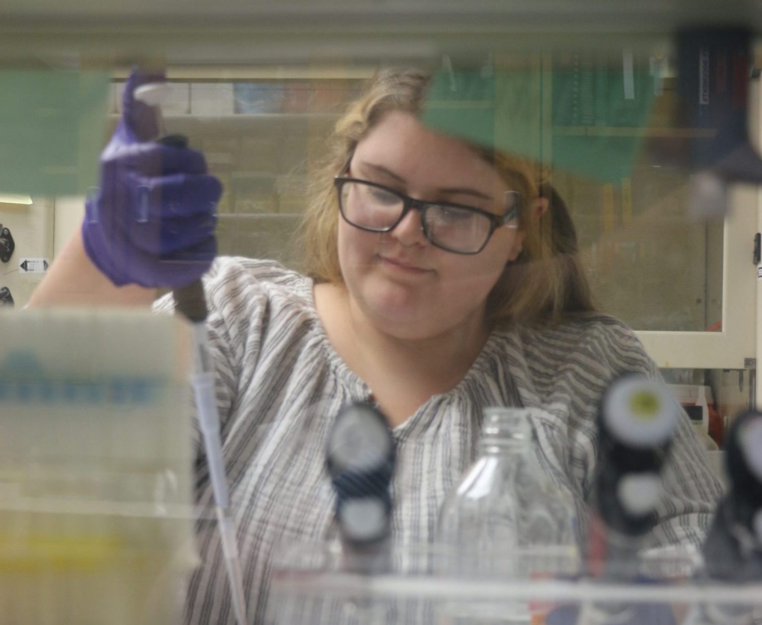 Post-Baccalaureate Research Education Program (PREP) – BADGER PREP – UW ...