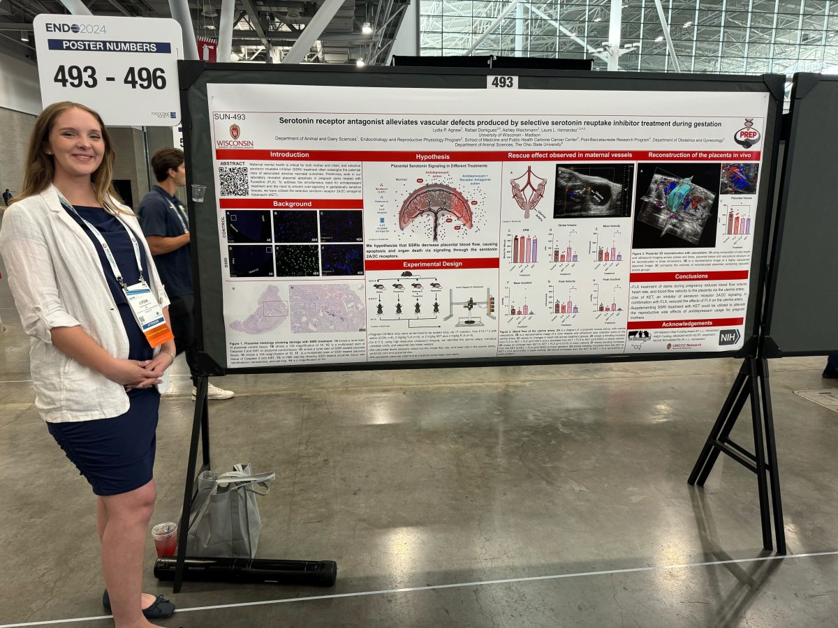 Post-Baccalaureate Research Education Program (PREP) – BADGER PREP – UW–Madison